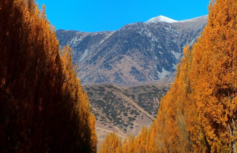 Autumn tours of Kazakhstan