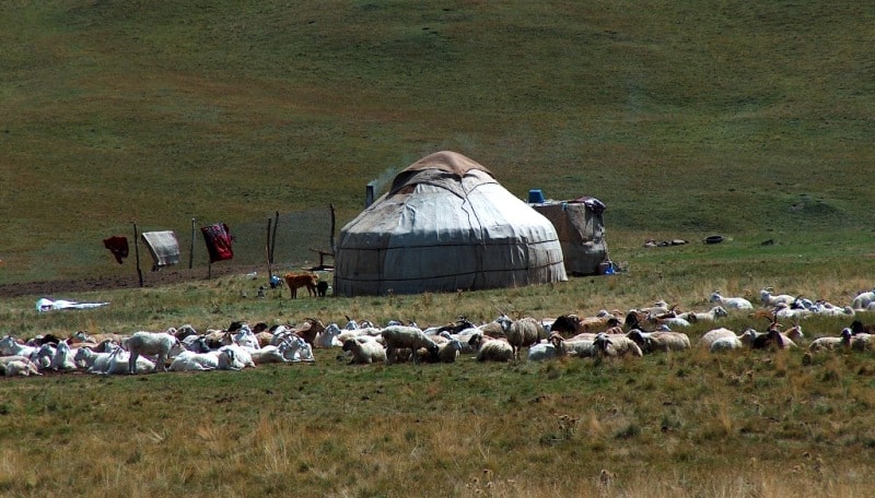 Agricultural tours over Kazakhstan