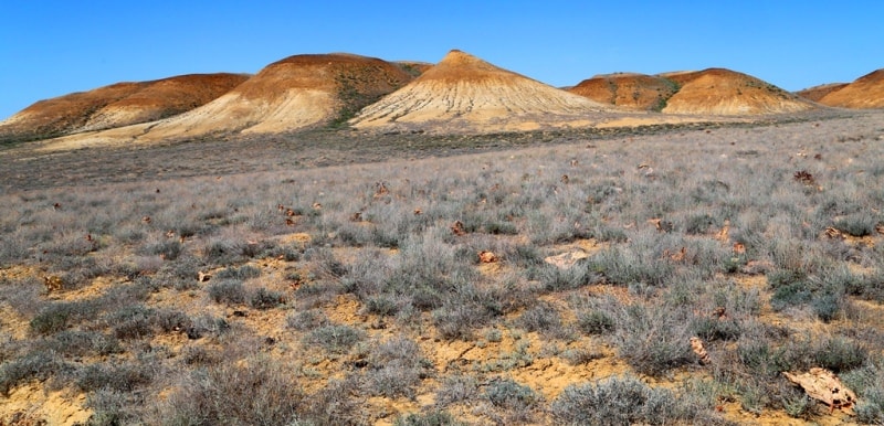 Trip on the Northern plateau of Ustyurt