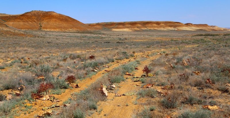 Sights of the Northern cliff of the Ustyurt plateau